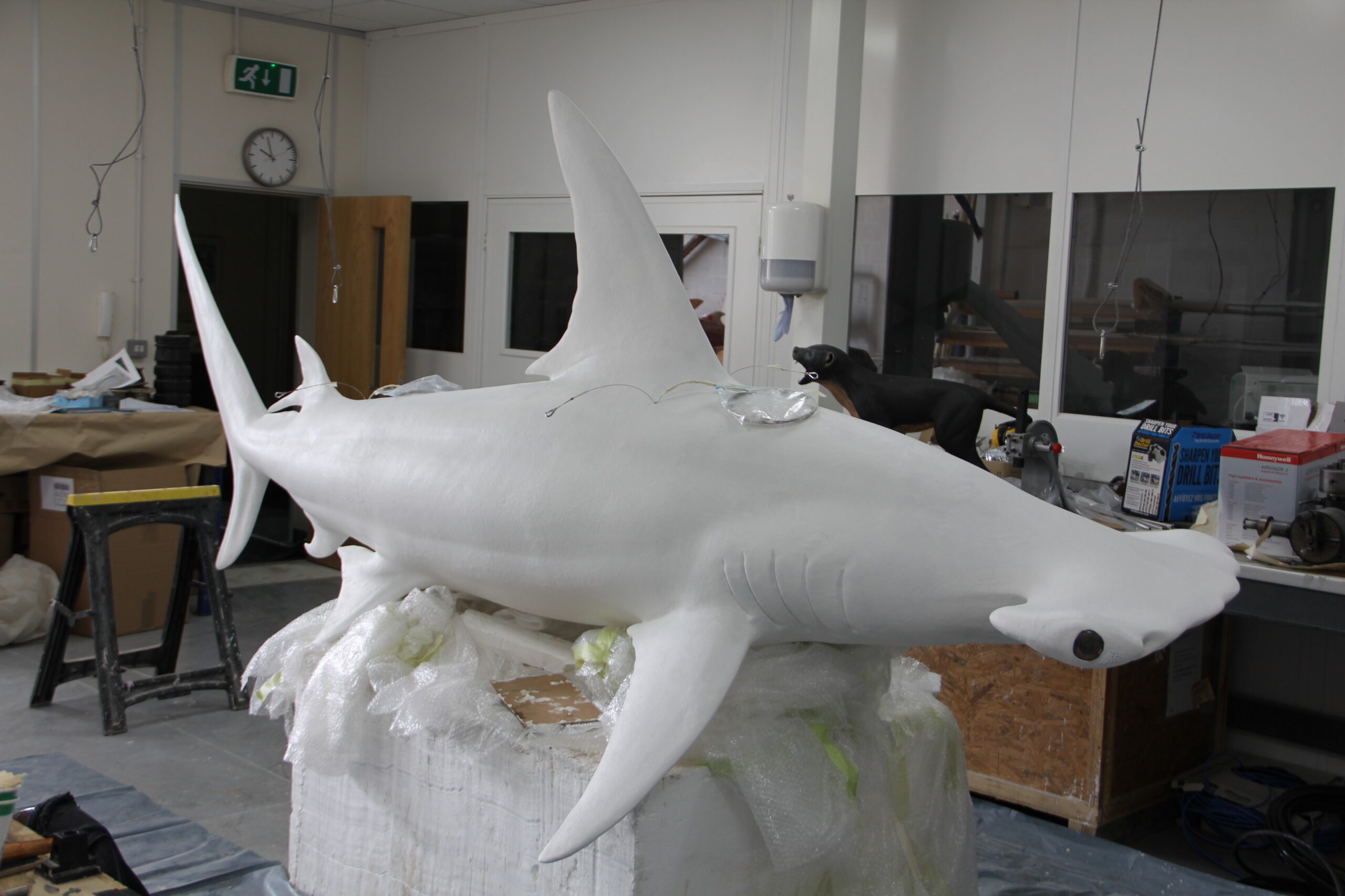 A Collaboration with Crawley Creatures - Envisage Group